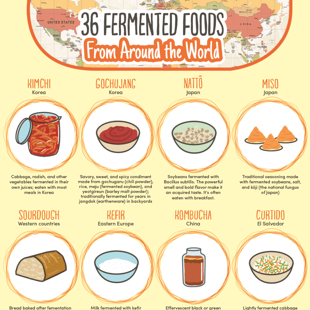 The Fascinating World of Fermented Foods - Whipped It